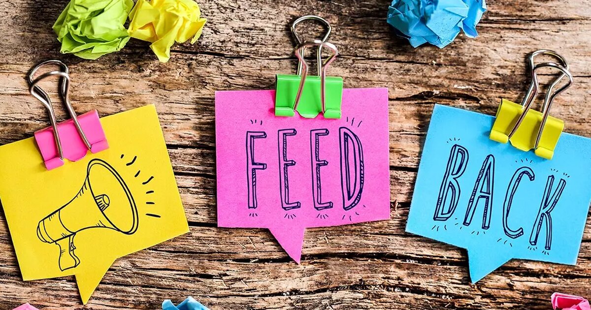 The Role of Feedback Orientation in Converting External Feedback to ...